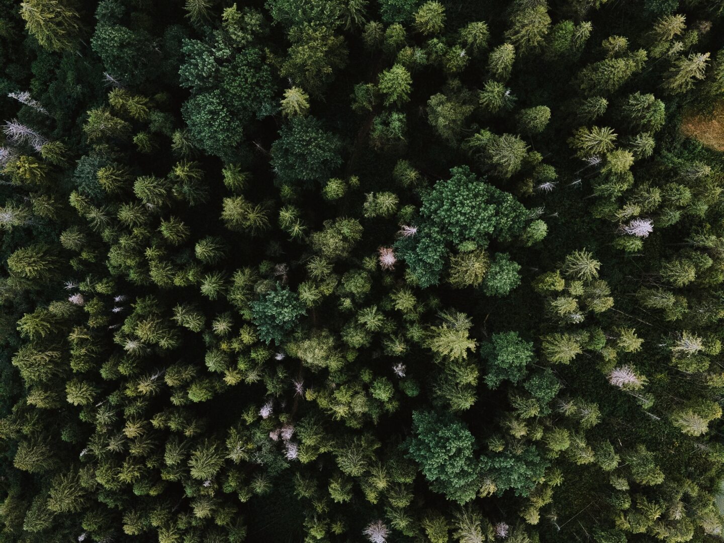 Etusivu - English - Solidium